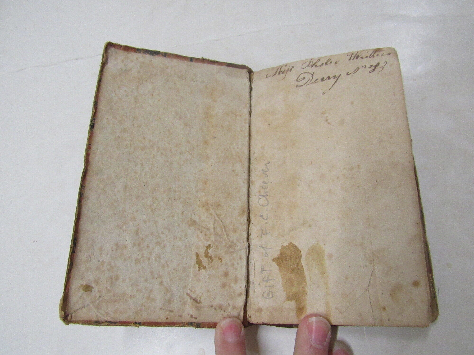 A Lady, The Ladies Companion Containing First Politeness of Manner and ...
